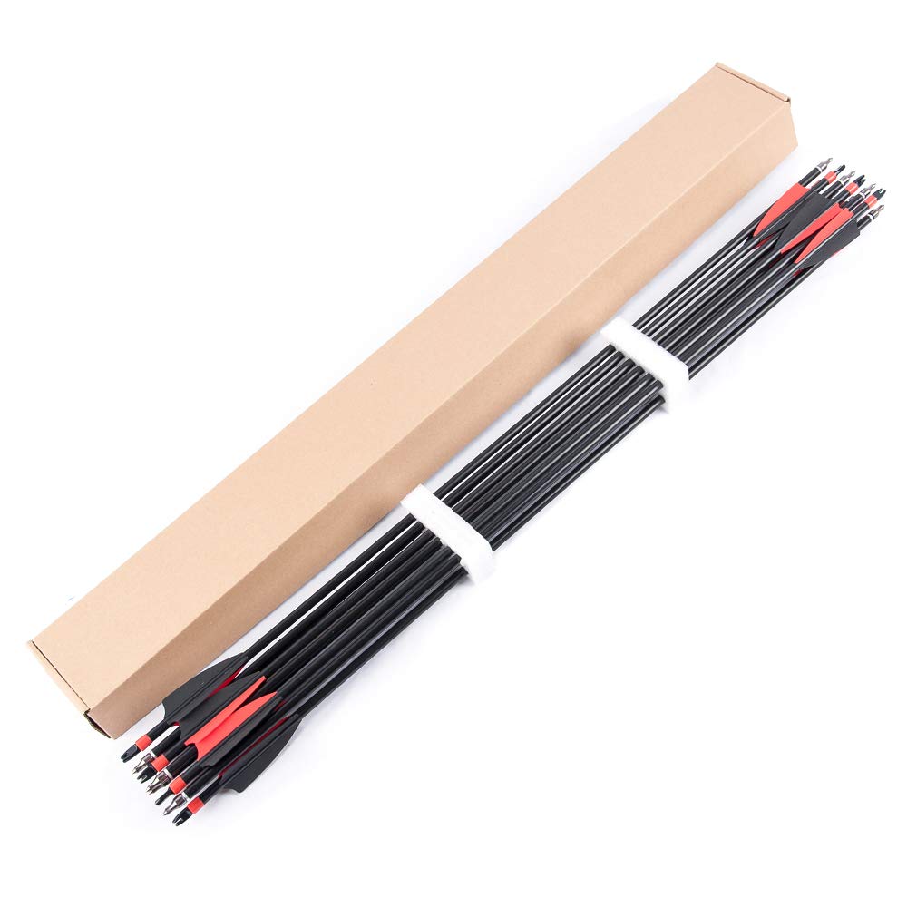 TOPOINT ARCHERY 30inch 8mm Fiberglass Hunting Practice Arrows with Replaceable Arrowhead Spine 500 for Recure and Compound Bow Target (Pack of 12) (2 Black 1 red vanes)