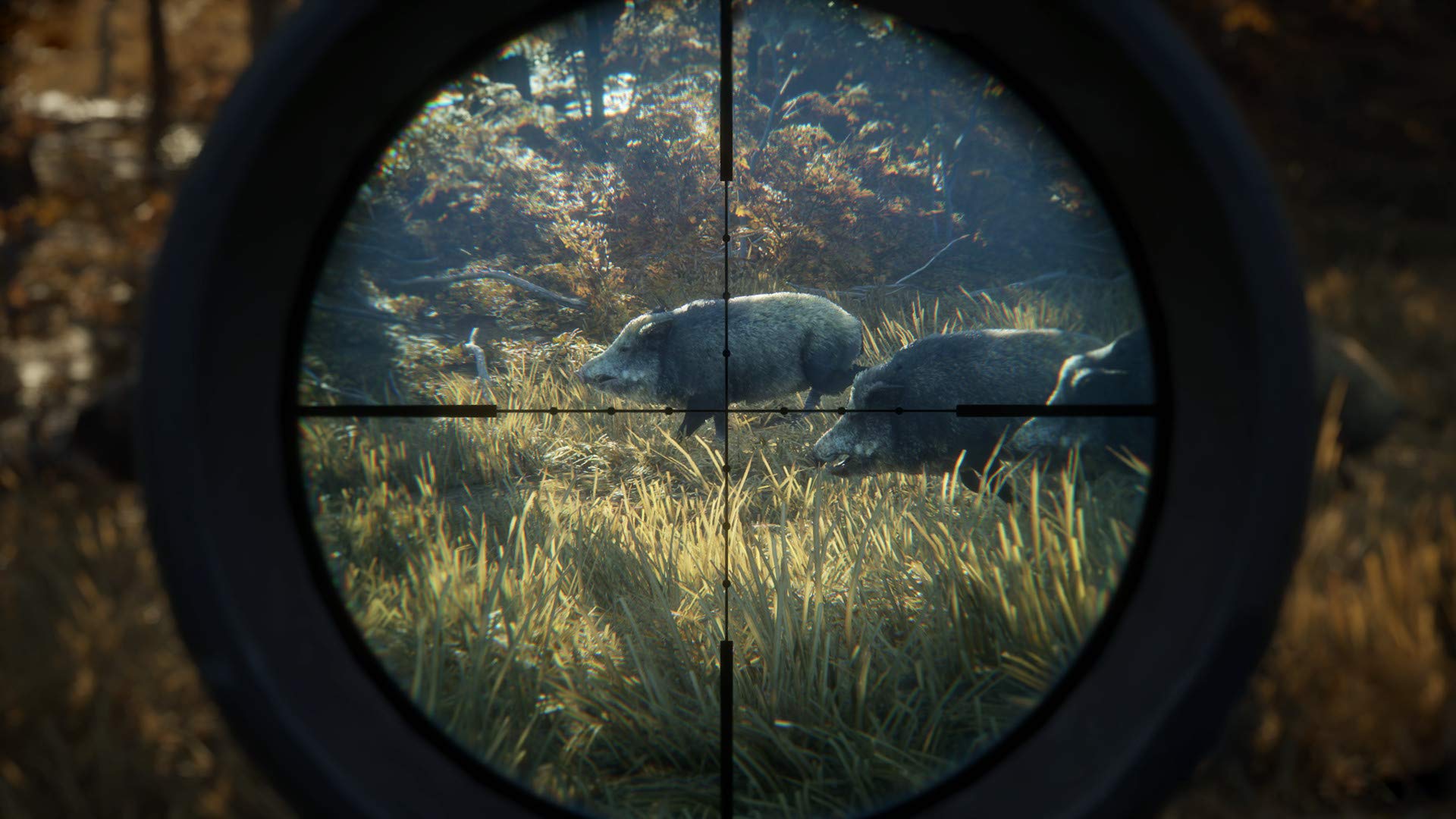 theHunter: 2019 Edition - Xbox One