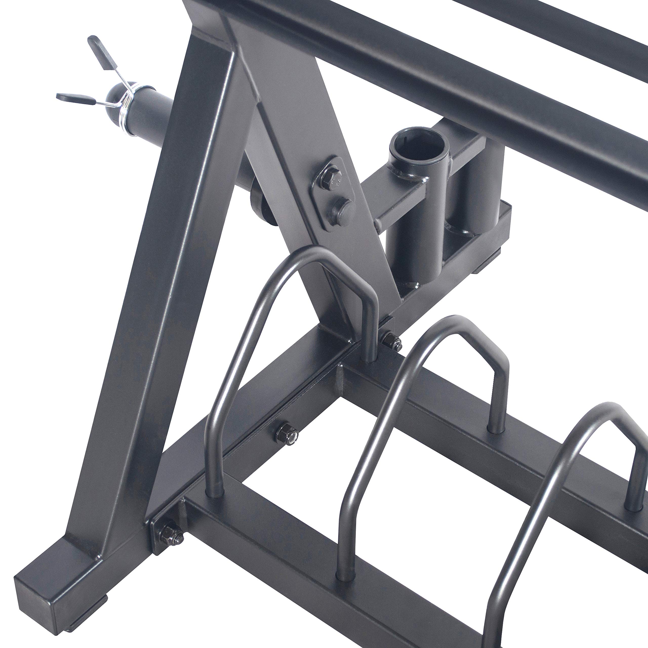 Sunny Health & Fitness All-In-One Weights Storage Rack Stand - SF-XF920025