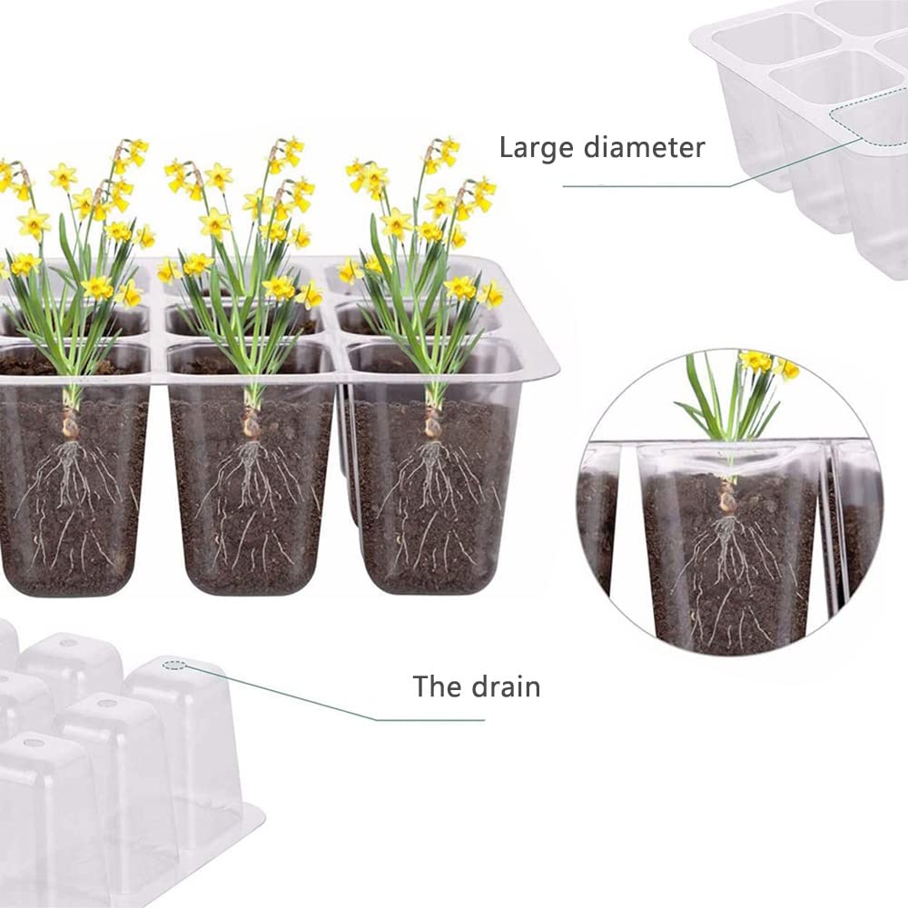 Rigute 5 Packs Seed Starter Tray,60 Cells Seedling Starter Kits,Trays Seed Starter Kit with Humidity Dome,Mini Propagator Plant Grow Kit for Greenhouse Gardens