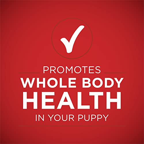 Purina ONE Plus Wet Puppy Food Classic Ground Healthy Puppy Lamb and Long Grain Rice Entree - (Pack of 12) 13 oz. Cans