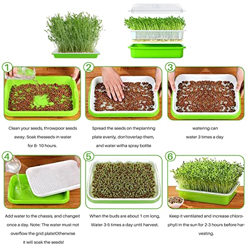 Seed Sprouter Trays 3 Packs , Microgreens Growing Trays Nursery Tray Bean Sprouts Sprouting Container Kit with Lid Wheatgrass Cat Grass Seedling Planting Storaging Trays for Garden Home Office