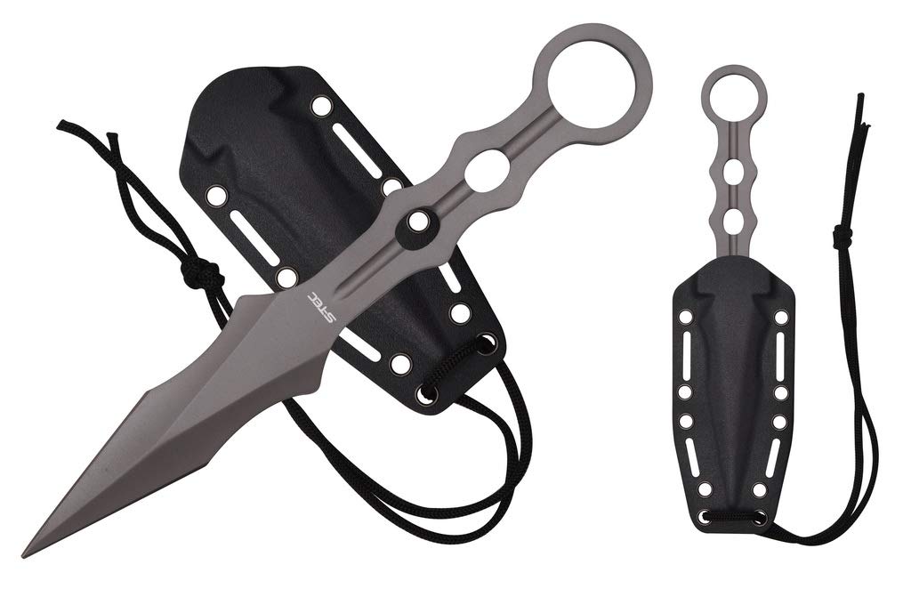 Wish Inspire 9" Tactical Survival Hunting Knife Throwing Dagger EDC Fixed Blade Series (Silver)