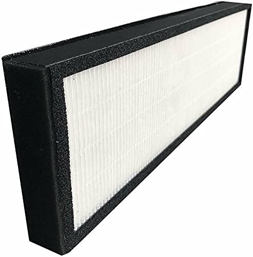 Rebirthcare 2 Pack Replacement Compatible with FLT5000 Models