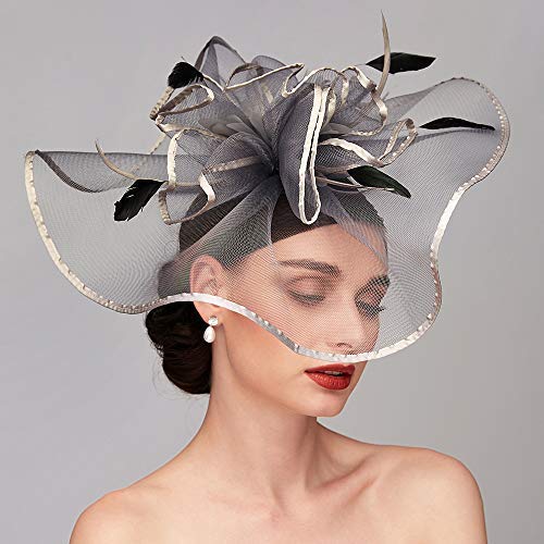 TS Fascinators Hat with Mesh Feather Hair Clip Tea Party for Wedding Cocktail Party or Special Occasion(Coffee)
