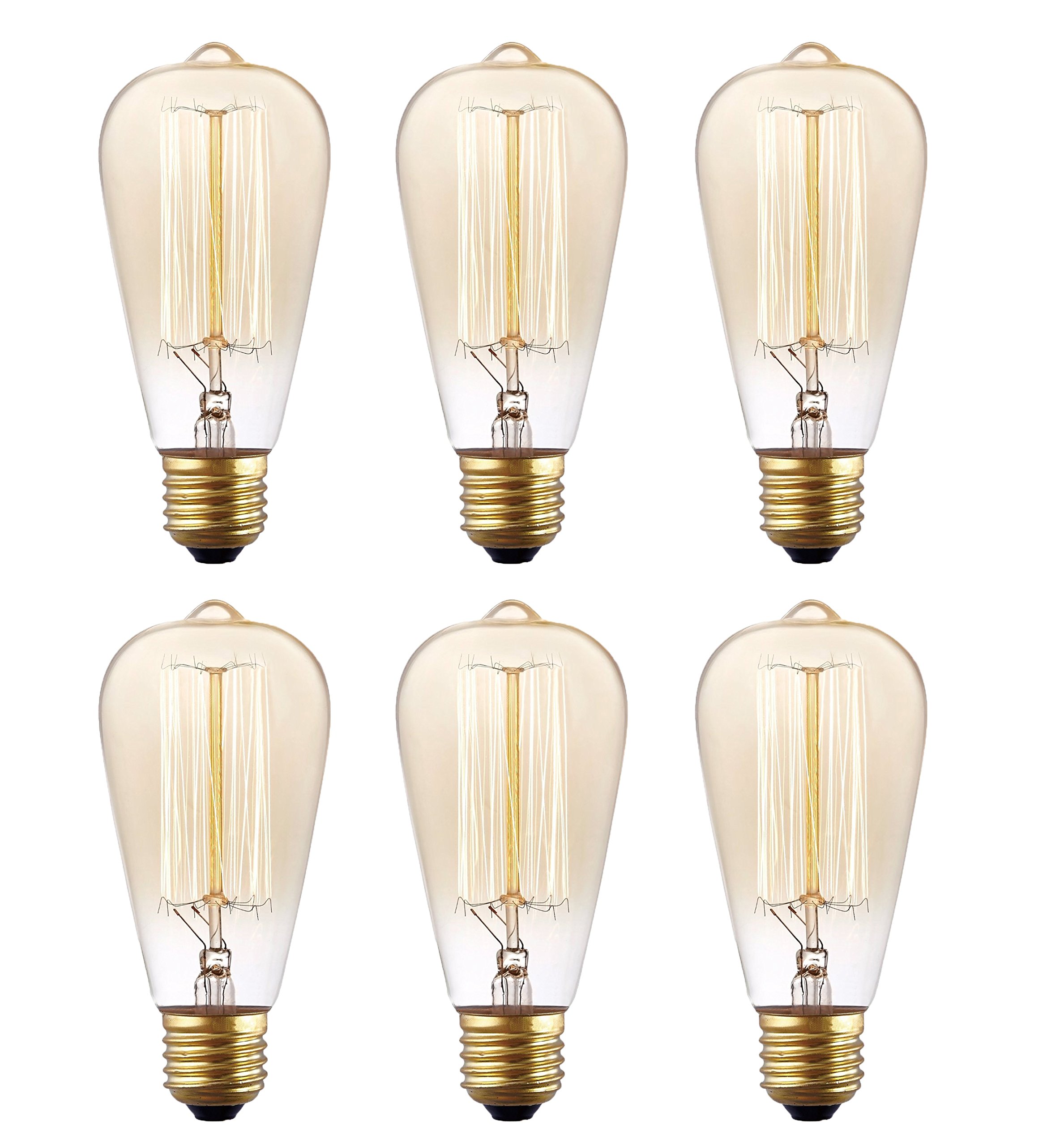 Rolay 6 Pack, 25 Watt Vintage Edison Light Bulb with Squirrel Cage Filament, 110~130 Volts, E26 Base