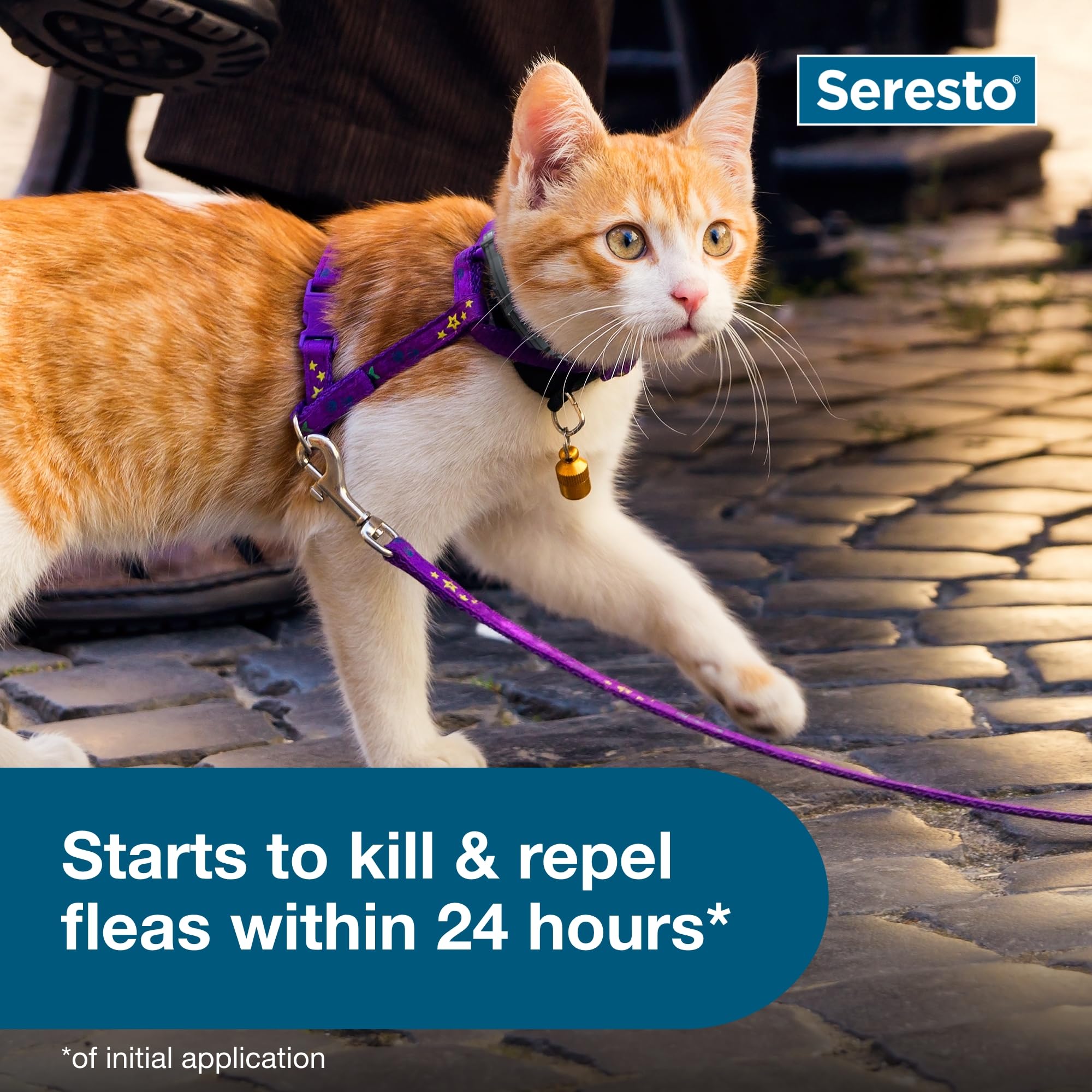 Seresto Cat Vet-Recommended Flea & Tick Treatment & Prevention Collar for Cats, 8 Months Protection | (Pack of 2)