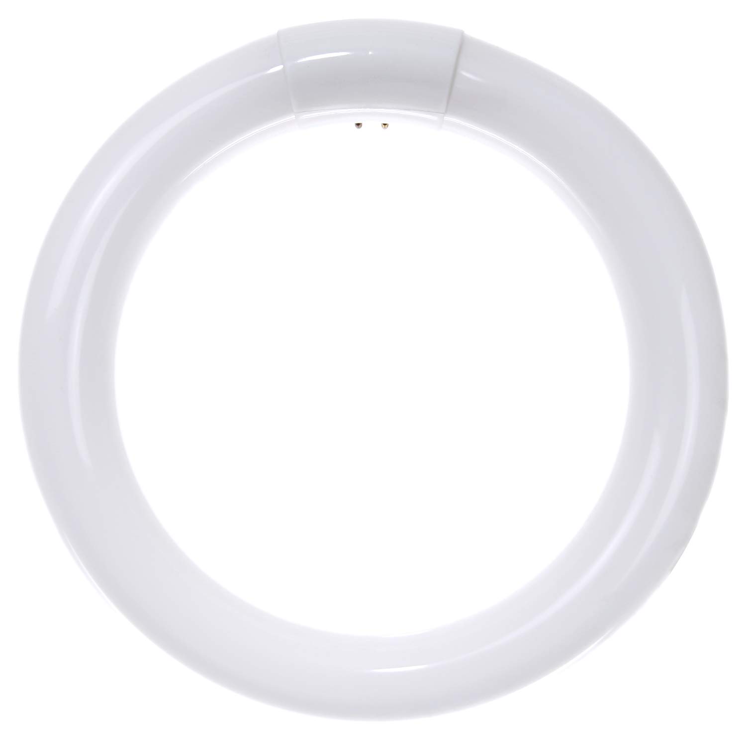 Sunlite 41314 FC8T9/DL 8-Inch T9 Round Fluorescent Circline Lamp, 22 Watts, 1050 Lumens, 6500K Daylight, G10Q 4-Pin Base, 1 Pack
