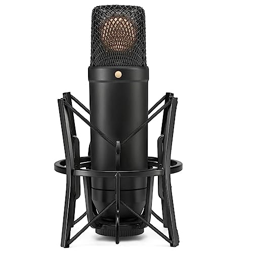 Rode Complete Studio Kit with the NT1 and Ai-1, Black