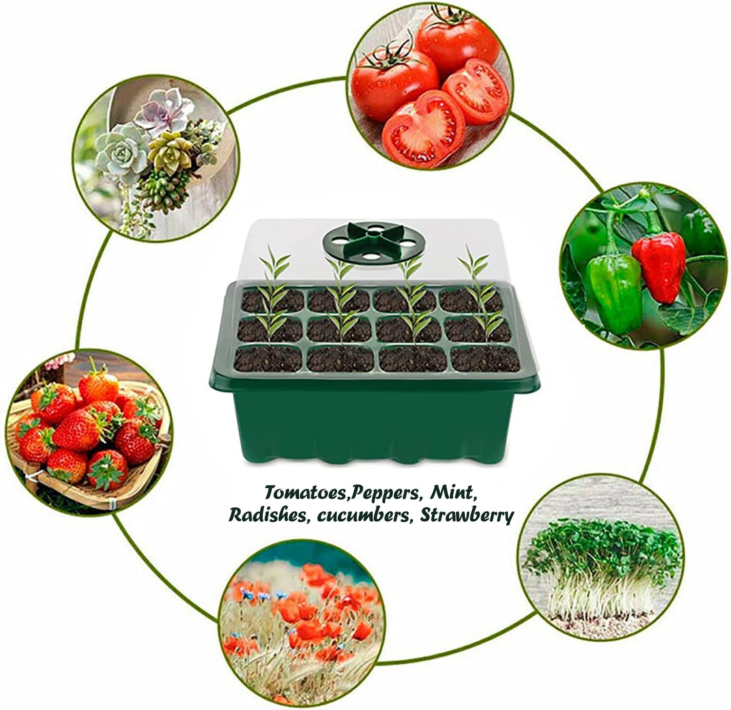 Rigute 5 Packs Seed Starter Tray,60 Cells Seedling Starter Kits,Trays Seed Starter Kit with Humidity Dome,Mini Propagator Plant Grow Kit for Greenhouse Gardens
