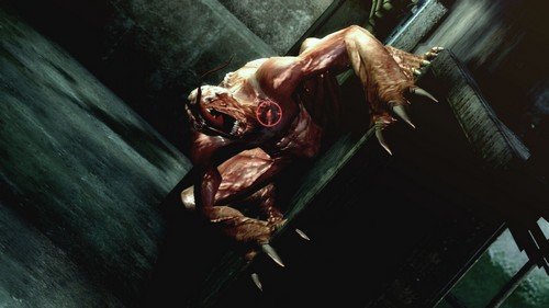 Resident Evil: The Darkside Chronicles