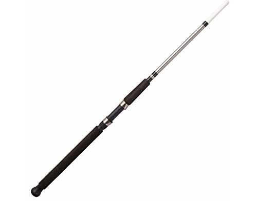 Shakespeare Alpha Bigwater 12' Spinning Rod, 2-Piece Fishing Rod, Tubular Glass Rod Blank, Medium Heavy Rod Power, Comfortable EVA Type B Handle, Graphite Reel Seat