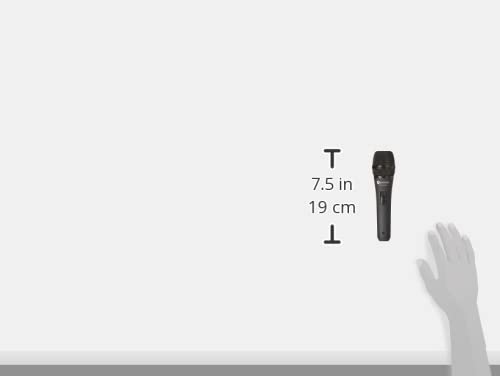 Prodipe PRO-TT1 Switched Dynamic Vocal Microphone