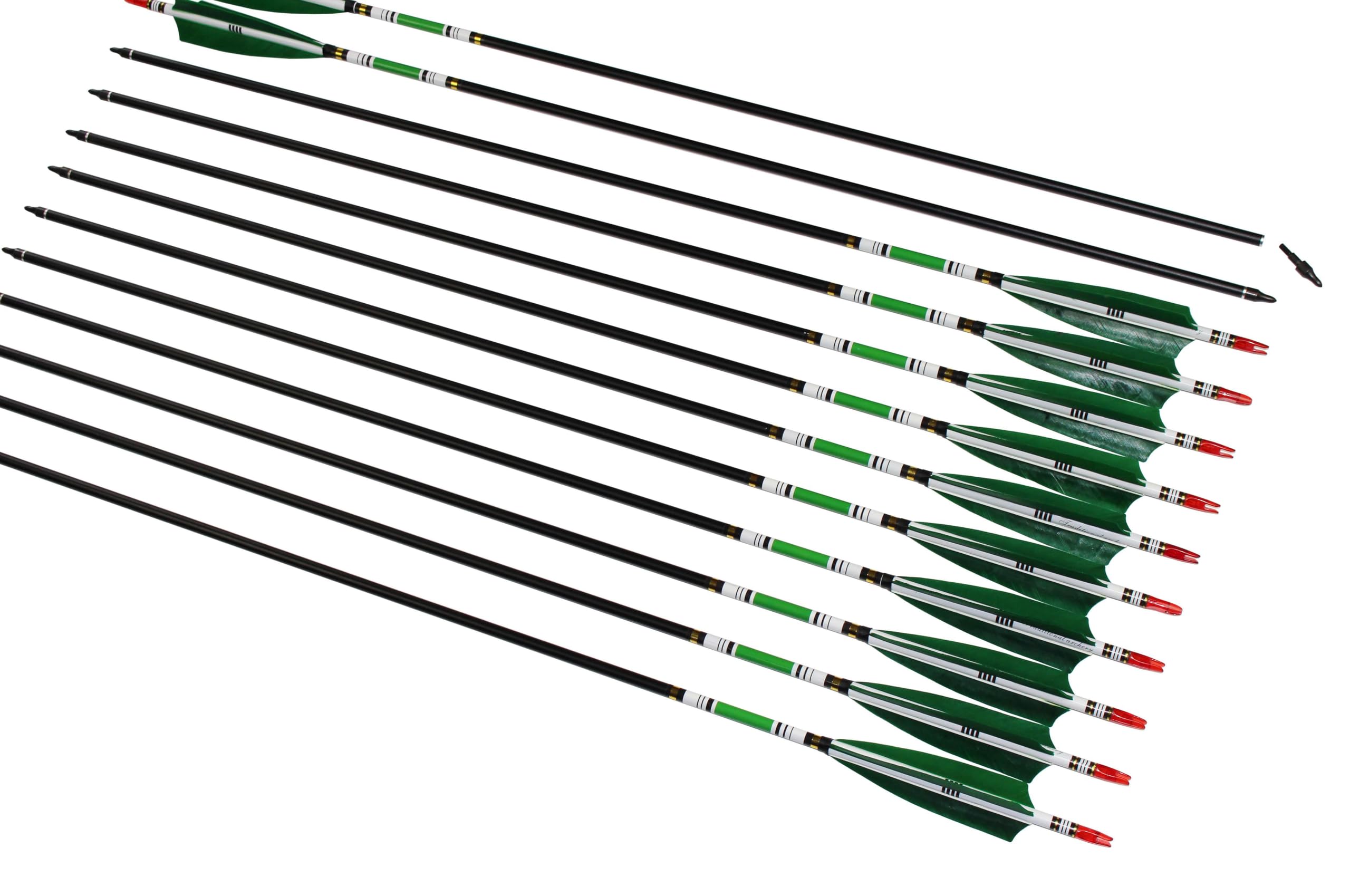 TTFLY FLETCHING 31 inch Carbon Arrows Green Turkey Feather Targeting Arrows Archery with Screw-in Field Tips Hunting&Practice(12 Pack)