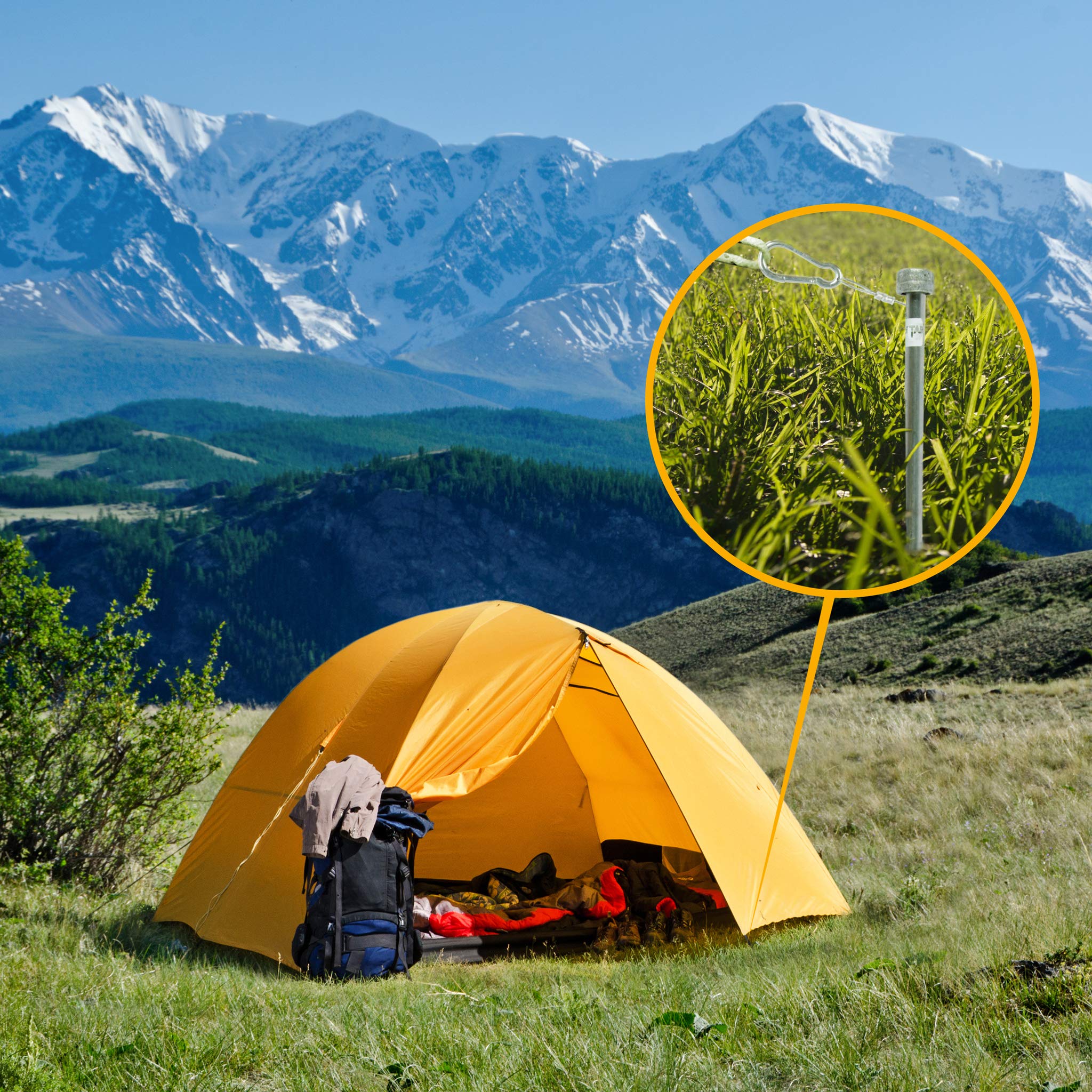 TARPFANG Tent Stake Set - Galvanized Tent Anchors, Tent Poles, Galvanized Top Made For Repeated Use, Included Carabiner For Fast Latch On To Tents, Compact For Easy Storage