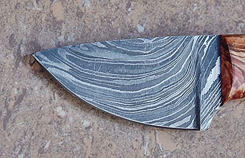 Smart & Sharp Custom Handmade Damascus Steel Hunting Knife/Skinner Knife AA-13137 (Burl Wood)