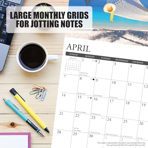 Willow Creek Press Chihuahua Puppies Monthly 2024 Wall Calendar (12" x 12")