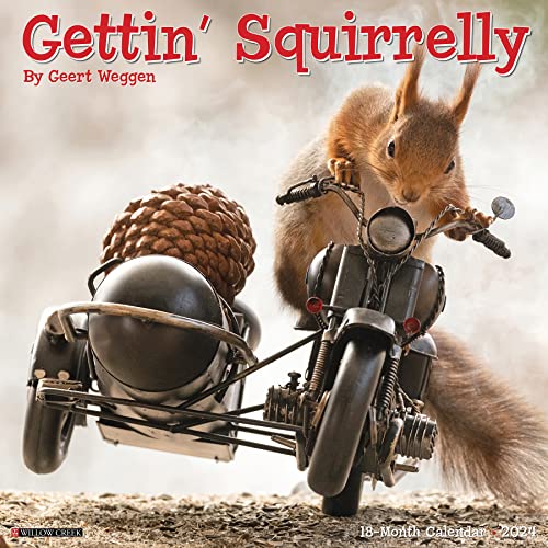 Willow Creek Press Gettin' Squirrelly Monthly 2024 Wall Calendar (12" x 12")