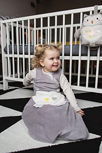 Tommee Tippee The Original Grobag, Baby Sleep Bag, 18-36 months, 2.5 Tog, Ollie the Owl
