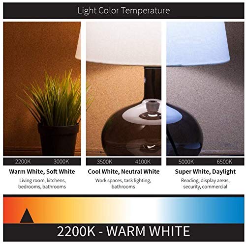 Vintage LED Edison Bulb G30 G95 4W Dimmable LED Filament Bulb Globe Pineapple Shaped Light Bulb 2300K Warm White E26 400LM Equivalent 40W Incandescent (Clear)