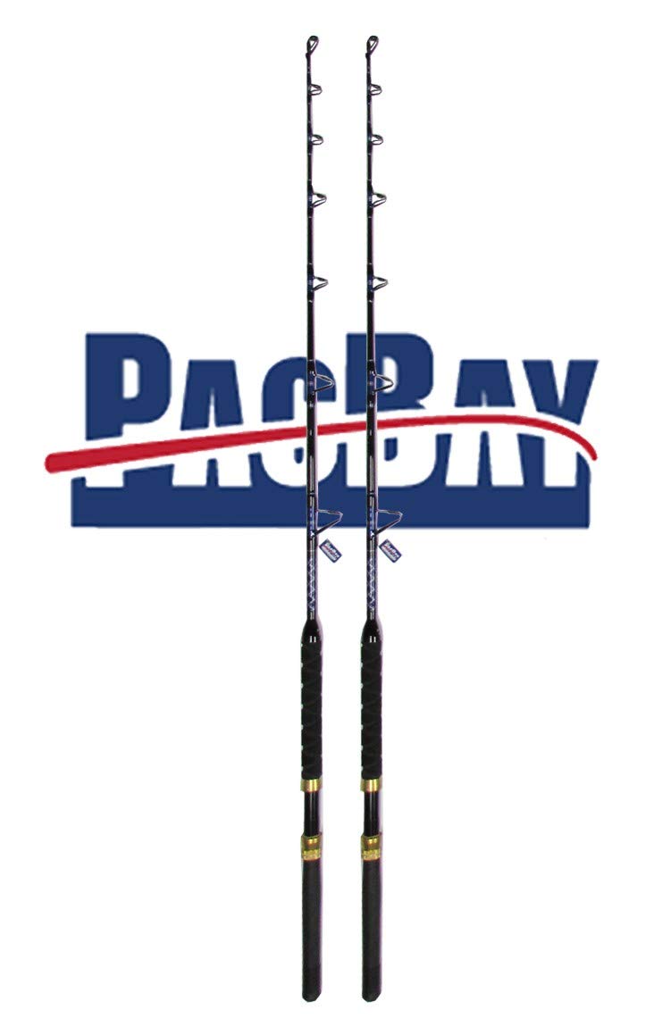 Xcaliber Marine Pair of (2) Inshore Series 6' 50-80 lb Saltwater Boat RODS (Blue and Silver)