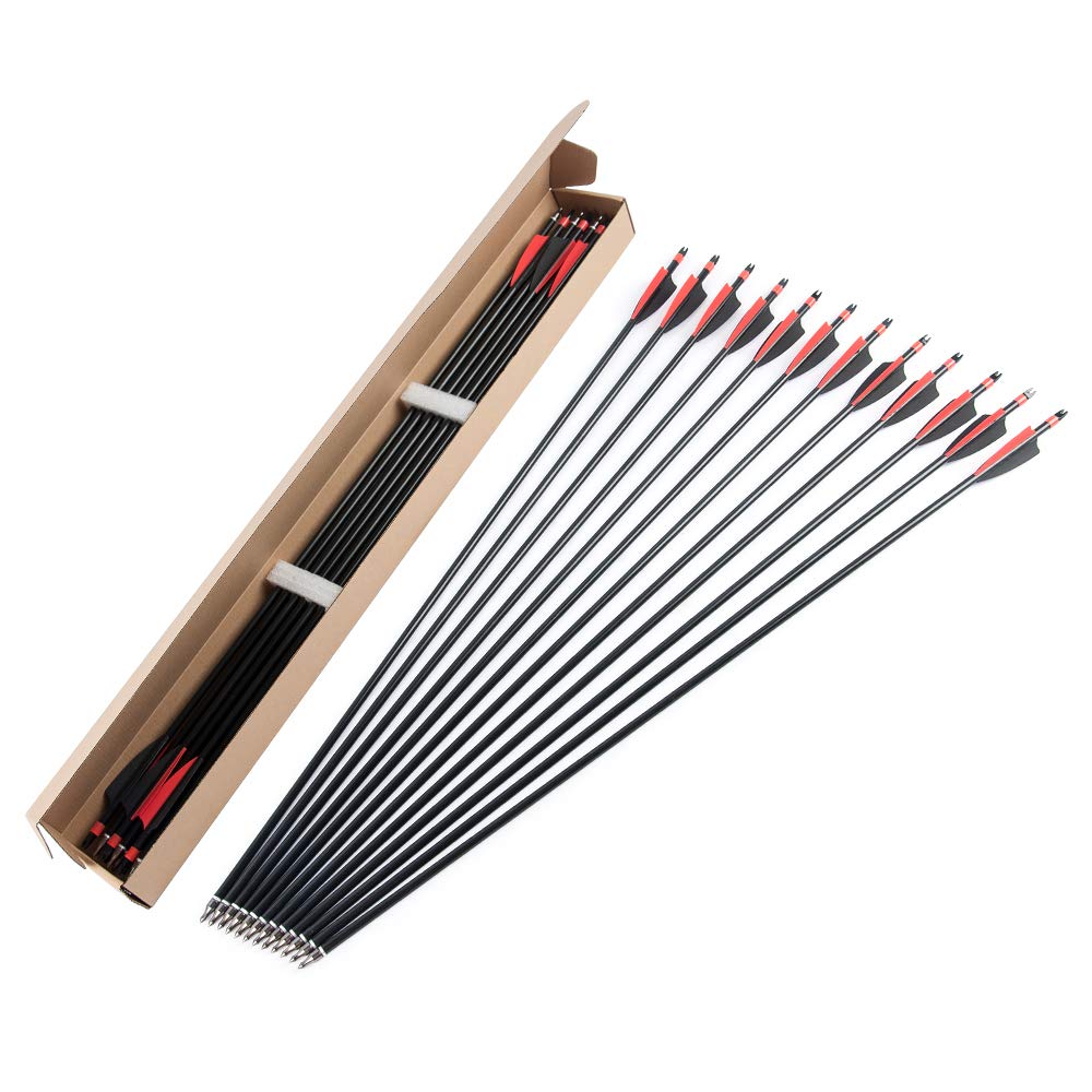 TOPOINT ARCHERY 30inch 8mm Fiberglass Hunting Practice Arrows with Replaceable Arrowhead Spine 500 for Recure and Compound Bow Target (Pack of 12) (2 Black 1 red vanes)