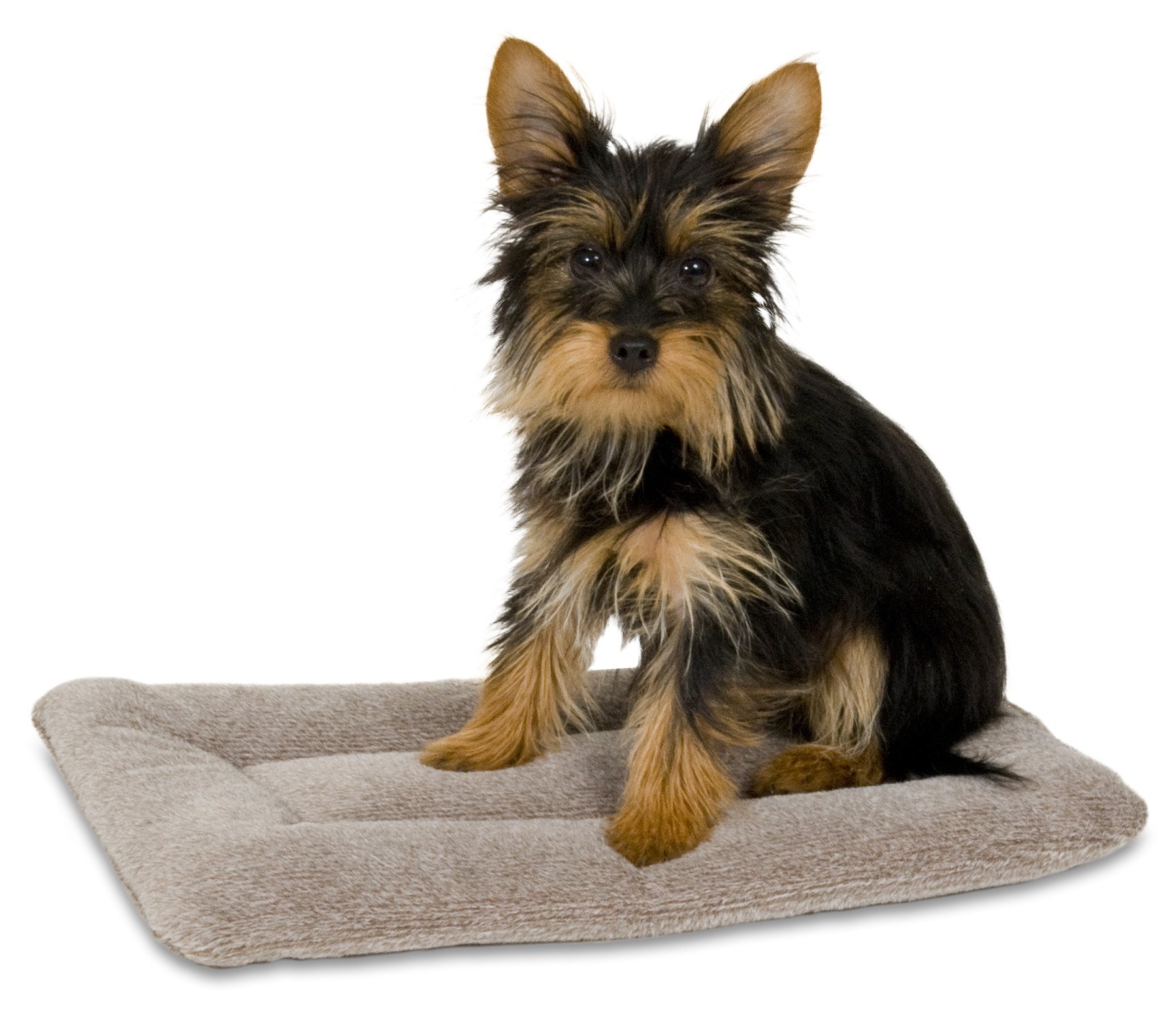 Petmate Aspen Pet Rectangular Kennel Mat, Dark Gray, for 19' Crates, 16.0" L x 9.0" W x 1.5" Th