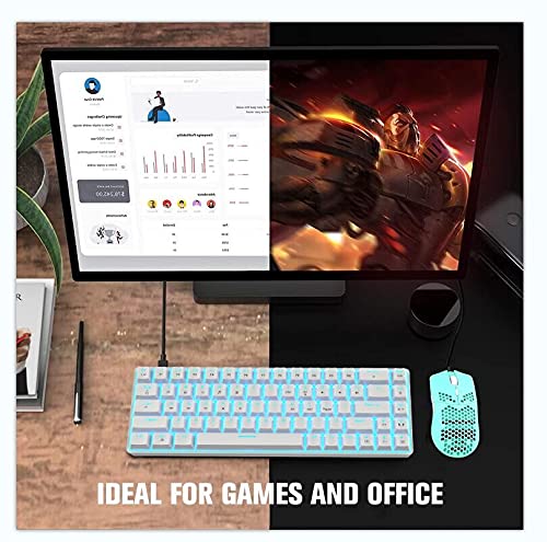 XINMENG 60% Wired Mechanical Gaming Keyboard and Mouse Combo, RGB Backlit 68 Keys Tenkeyless Ultra-Compact Mini Keyboard, 6400DPI Honeycomb Mouse, Anti-ghosting,Type-C Cable for Computer Mac Gamer