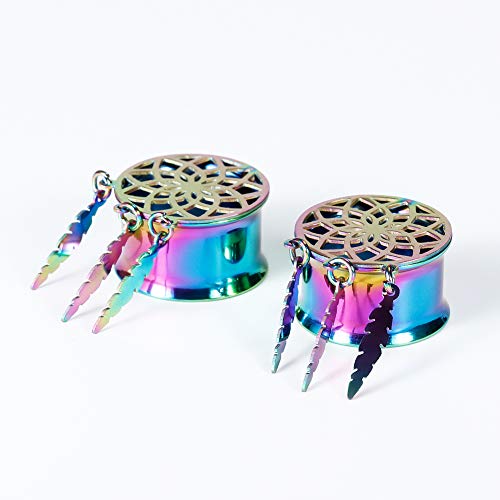 TBOSEN 2PCS Tunnels and Plugs For Ears Stainless Steel Stretcher Multiple Expander Tunnels Gauges 0g-1'' in 8mm-25mm