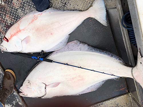 SANTIAM FISHING RODS Travel Rod 1 Piece 48" 30-130lb Braid Halibut/Tuna/Saltwater Rod