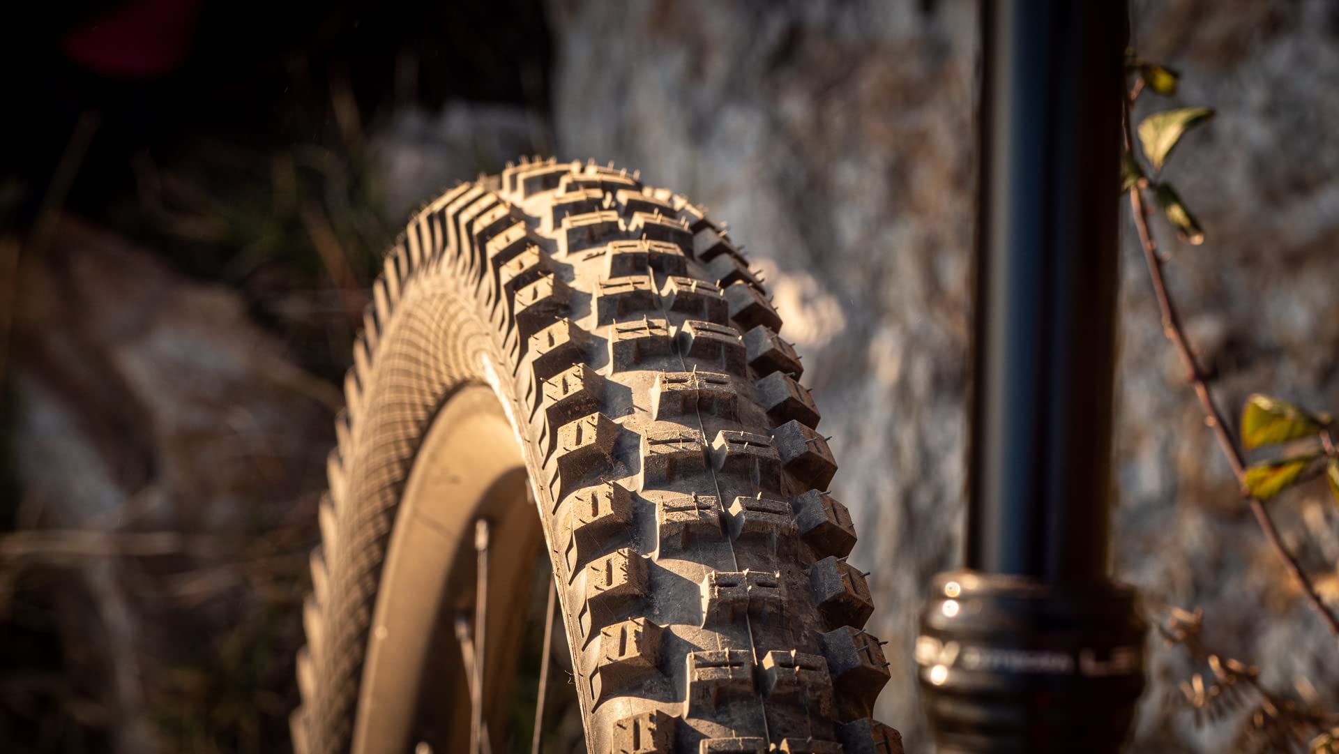 Schwalbe Unisex's Big Betty Perf, BikePark Tyres, Black, 62-622