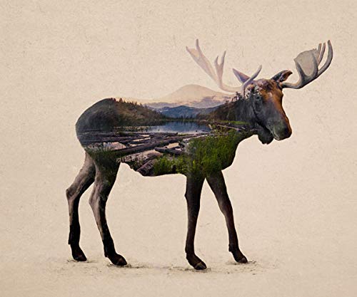Rustic Double Exposure Bull Moose and Bear Landscape Set; Cabin Lodge Decor; One 11x14 and One 14x11in Gold Trim Brown Framed Poster Print