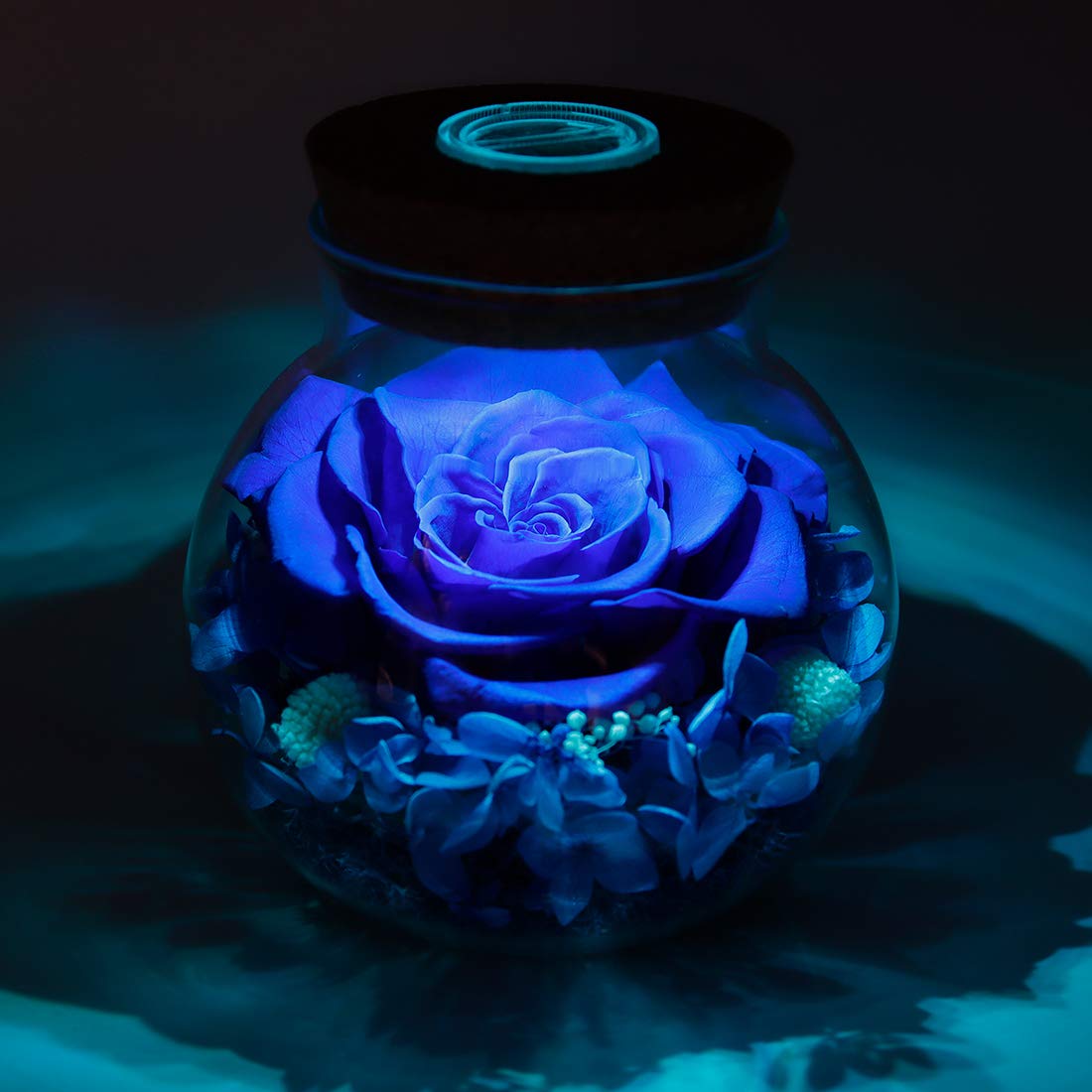 roliys Preserved Real Roses with Colorful Mood Light Wishing Bottle, Eternal Rose,Never Withered Flowers, Table Decor,Christmas Anniversary Valentine's, Blue 4.3inch, 1pcs