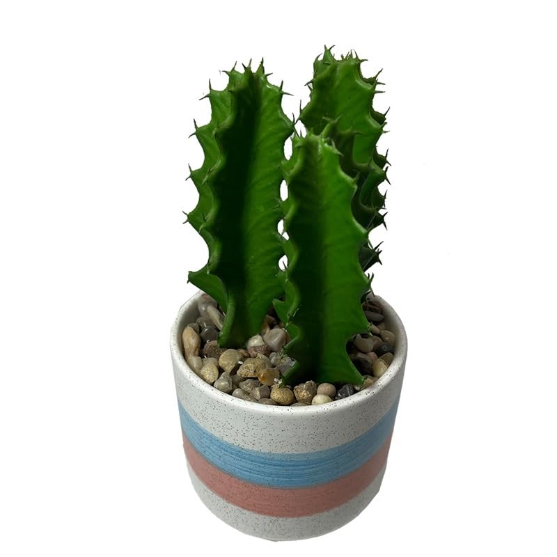 RENSLAT Family Dining Table Office Simulation Cactus Tropical Desert Green Plant Family Dining Table Bathroom Office
