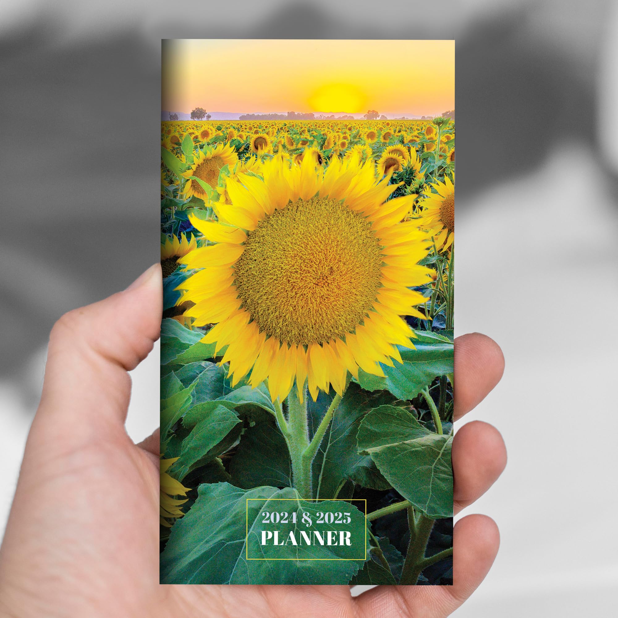 TF PUBLISHING 2024-2025 Bright Blooms 2-Year Small Monthly Pocket Planner | 2-Page Large Calendar Grid and Lined Notes Section in Back | Monthly Day Planner for Purse | 3.5" x 6.5"