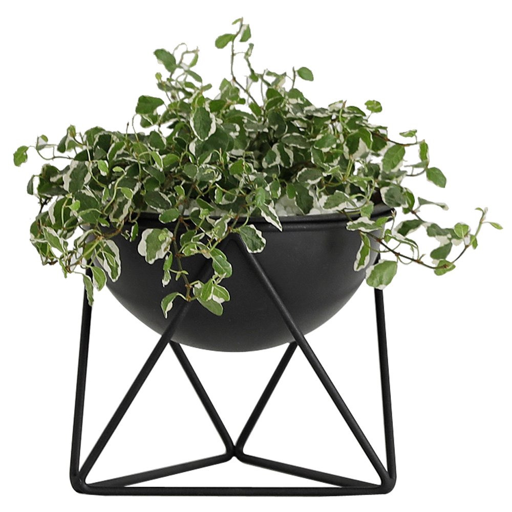 Roomnhome Mono Plant pot stander with Iron Frame and Plastic Pot Holder(D-type/5"/Black)