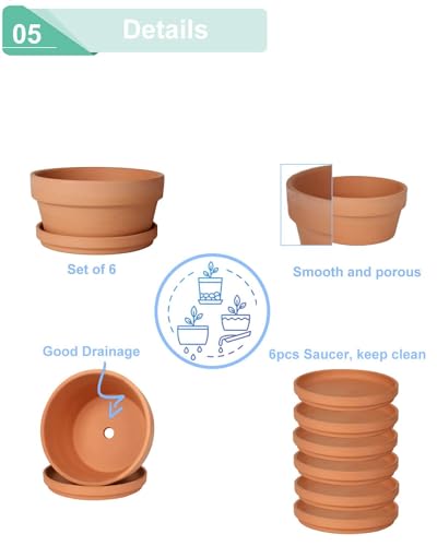 vensovo 5.7 Inch Terracotta Shallow Succulent Pot - 6 Pack Terra Cotta Clay Pots with Saucer, Cacuts Terra-Cotta Indoor and Outdoor Planters with Drainage Hole