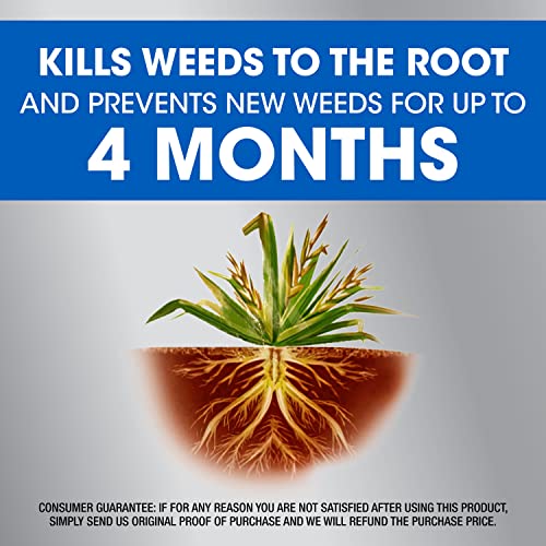 Roundup Dual Action Weed & Grass Killer Plus 4 Month Preventer Concentrate, 32 fl. oz.
