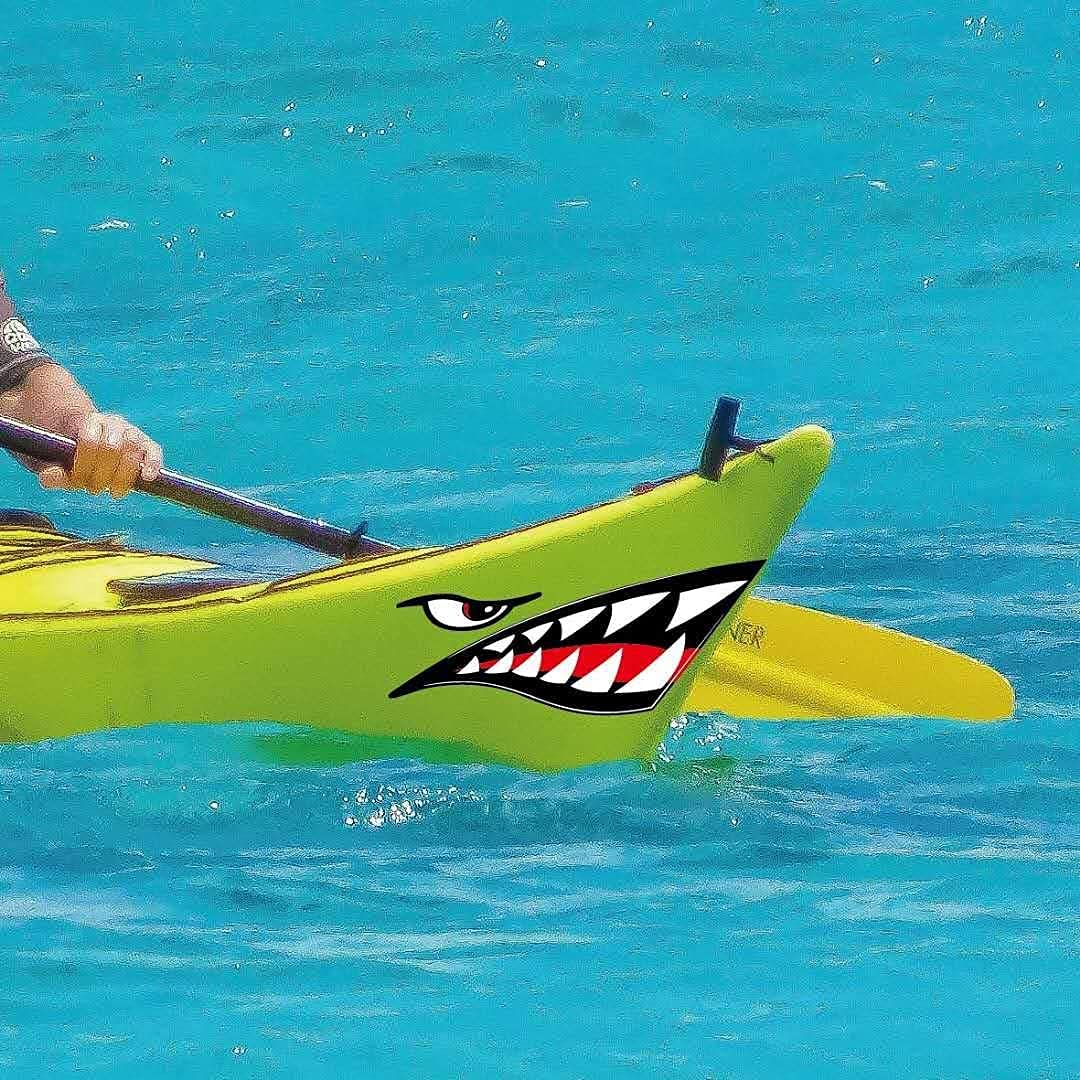 Xixiying Shark Teeth Stickers Reflective Stickers Decorative Patterns for Kayaks, Fishing, Canoes, Cars, Trucks, Etc.