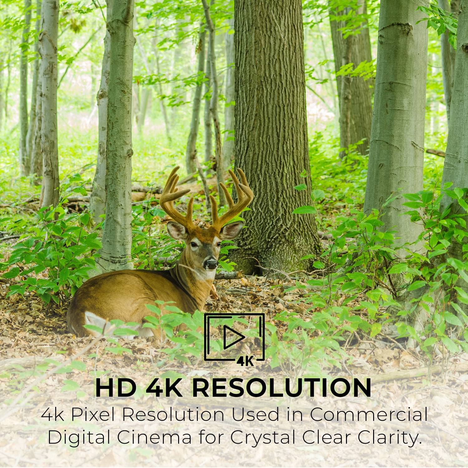 TACTACAM 5.0 Wide Angle Hunting Action Camera + Head Mount, Universal Mount Adapter and 64GB MicroSD Card