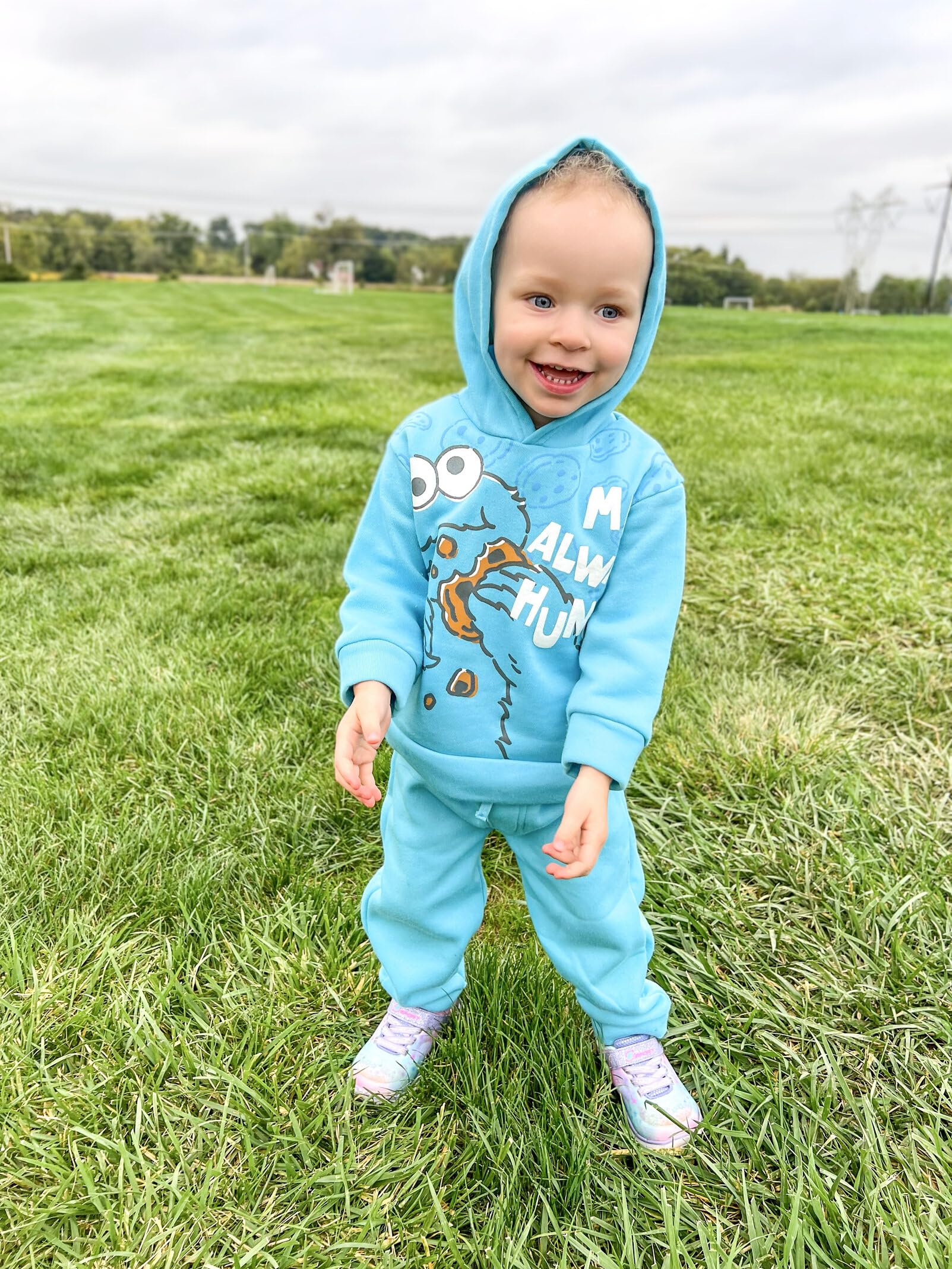 Sesame Street Cookie Monster Toddler Boys Fleece Pullover Hoodie and Pants Outfit Set Blue 3T