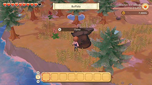 Story of Seasons: Pioneers of Olive Town - Premium Edition - Nintendo Switch