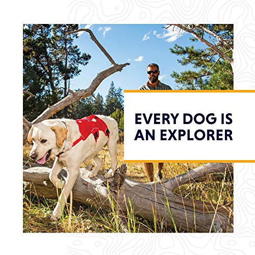 Ruffwear, Web Master, Multi-Use Support Dog Harness, Hiking and Trail Running, Service and Working, Everyday Wear, Blue Dusk, X-Small