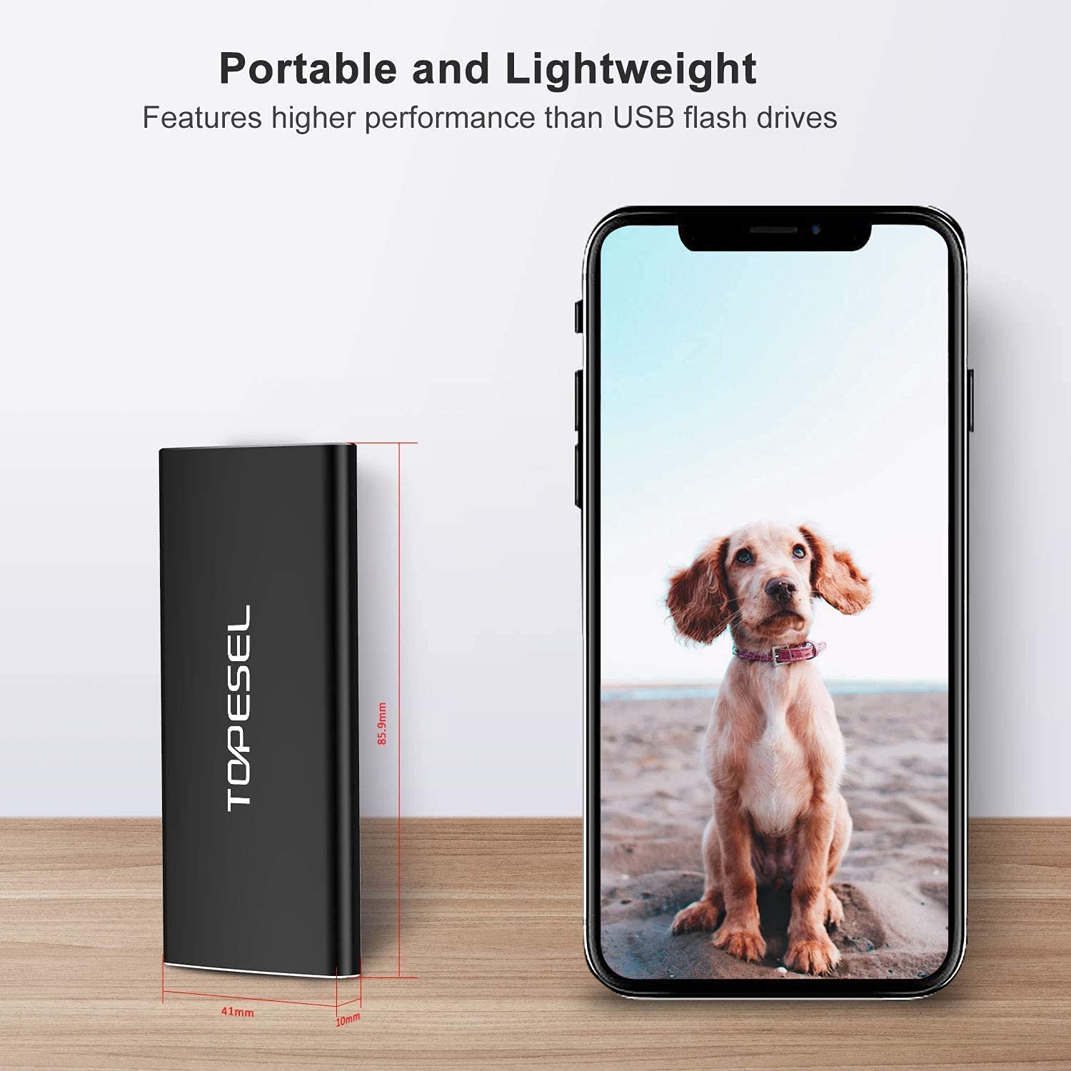 TOPESEL Portable SSD, 250GB High Speed Read up to 500MB/s, External Solid State Drive for PC, Desktop, Laptop, MacBook, Black