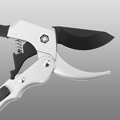 Pruning Shears, Pruning Shears for Gardening, Professional Garden Shears Clippers/Pruning Scissors Labor-Saving with Coated Stainless Steel Blades & Non-slip Handle