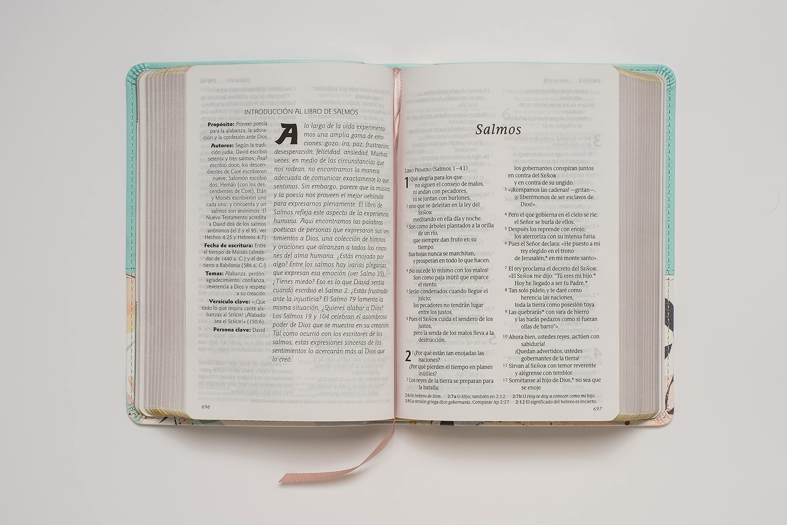 Santa Biblia NTV, Edición compacta, letra grande (SentiPiel, Menta, Letra Roja) (Spanish Edition)