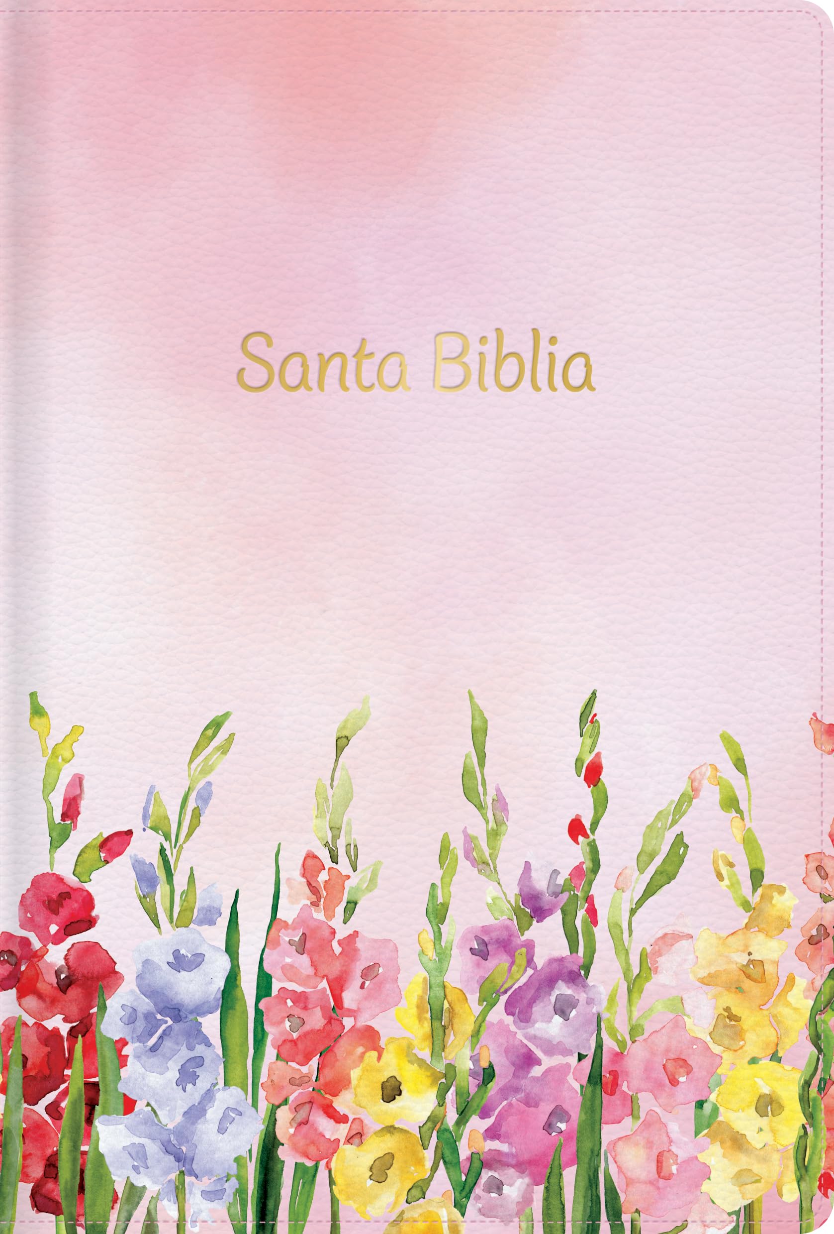RVR 1960 Biblia letra grande tamaΓ±o manual ediciΓ³n especial, fucsia sΓmil piel: Santa Biblia (Spanish Edition)