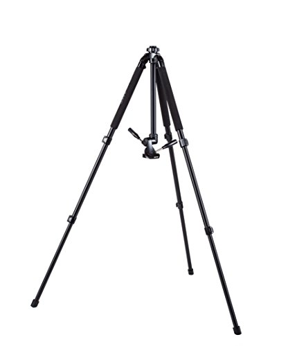 SLIK Pro 700DX Tripod KIT with 3-Way Pan & Tilt Head, for Mirrorless/DSLR Sony Nikon Canon Fuji Cameras and More - Black (615-316)