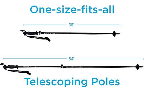 SKI Pole Flask - WhiSki Poles 2.0 - Best Gift for Skiers - One Size Fits All w/Free Collapsible Funnel