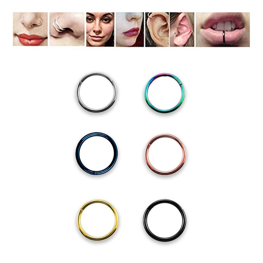 TOPBRIGHT 6 Pcs a Set Seamless Septum Rings Clicker 16G Stainless Steel Hinged Segment Rings for Daith and Lip Piercing (8mm)…